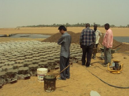 Agence d'Exécution de Travaux d'Intérêt Publics pour l'Emploi - AGETIPE